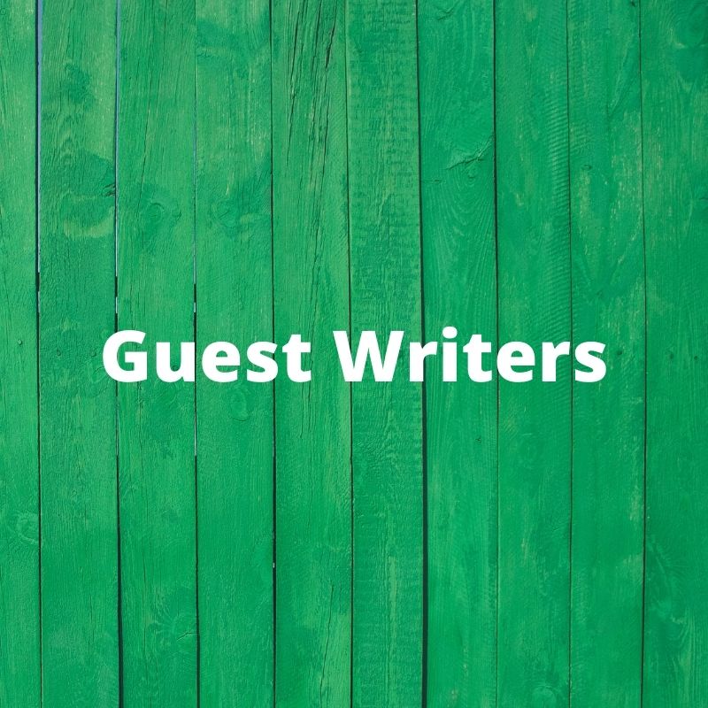 Melinda Johnson, Writing